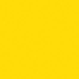 #1485 - Chrome Yellow