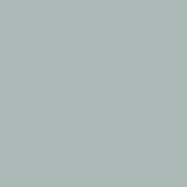 #5349 - Fossil (Colorcore2)