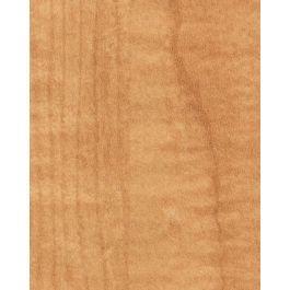 #7288 - GINGER ROOT MAPLE