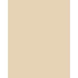 #899 - DESERT BEIGE