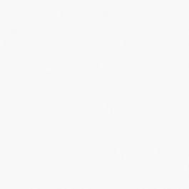 #111 - WHITE COLOR CORE